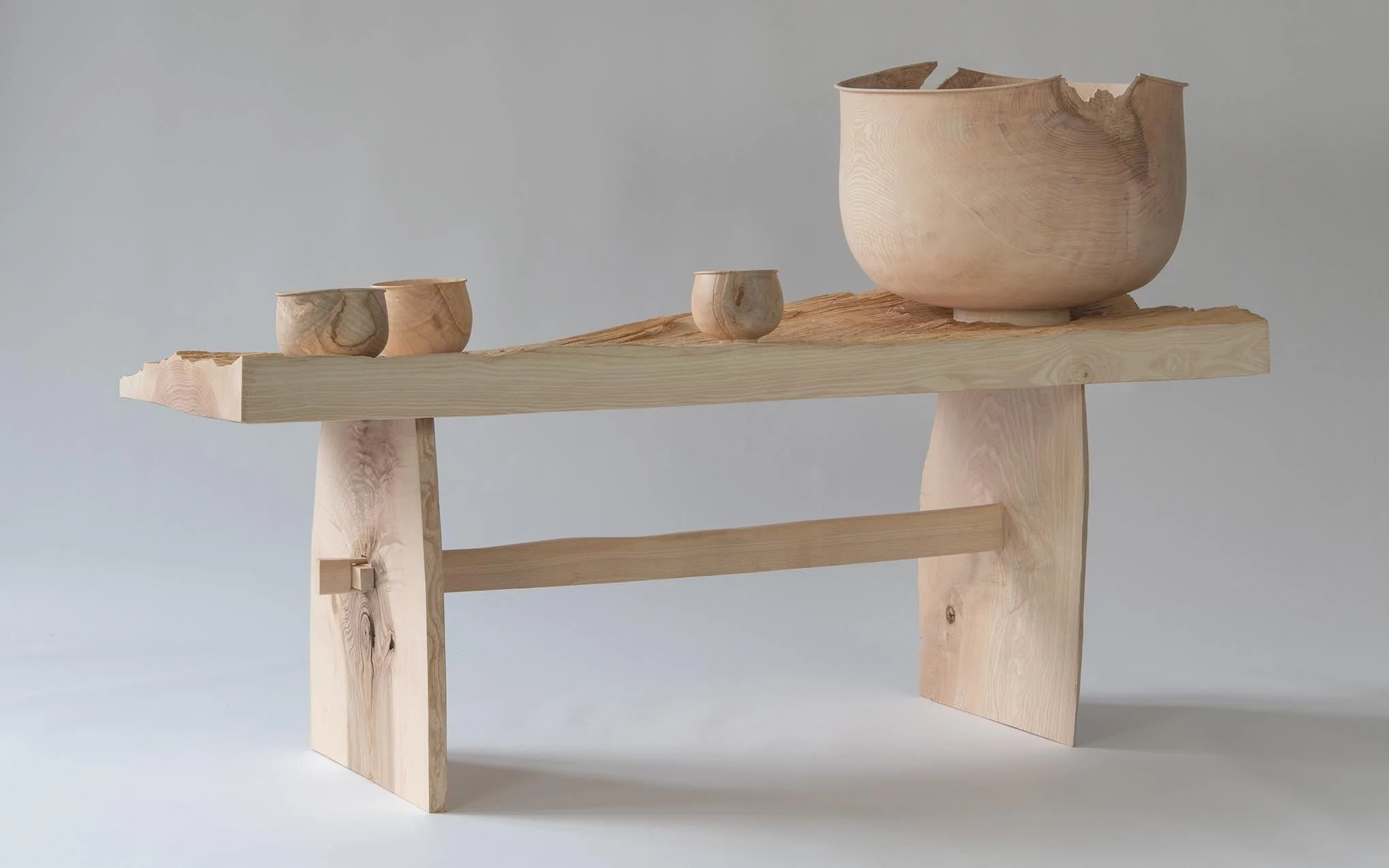 news: one tree exhibition shows how a single tree can be transformed ...