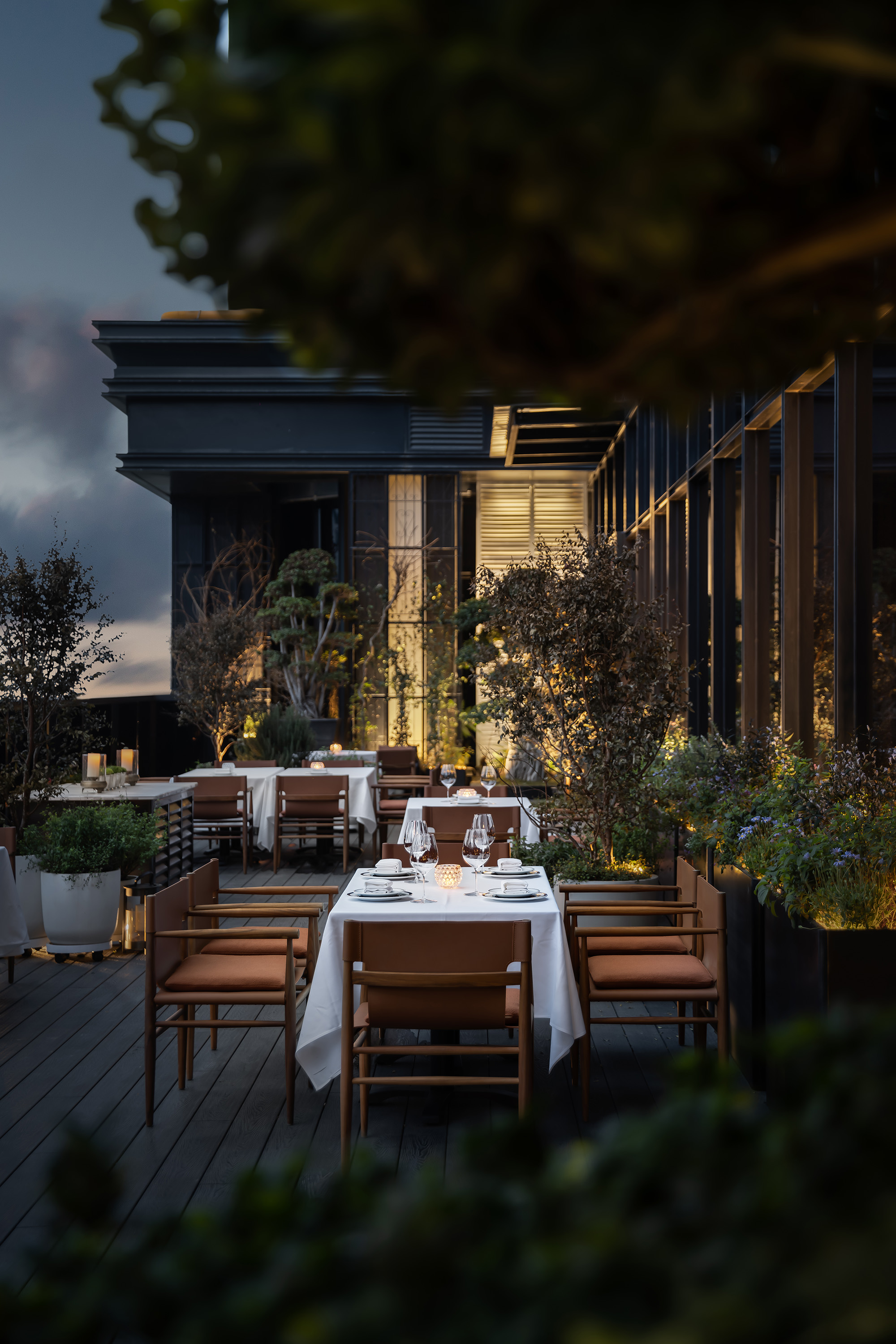 news: xin rong ji is an upscaled restaurant designed to celebrate ...