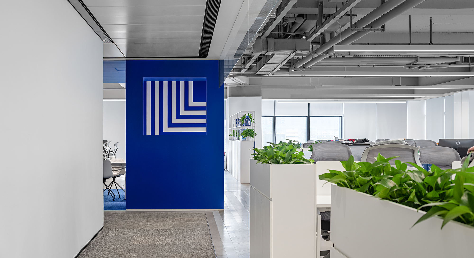 news: wonderlab headquarters is an office highlighted by klein blue ...
