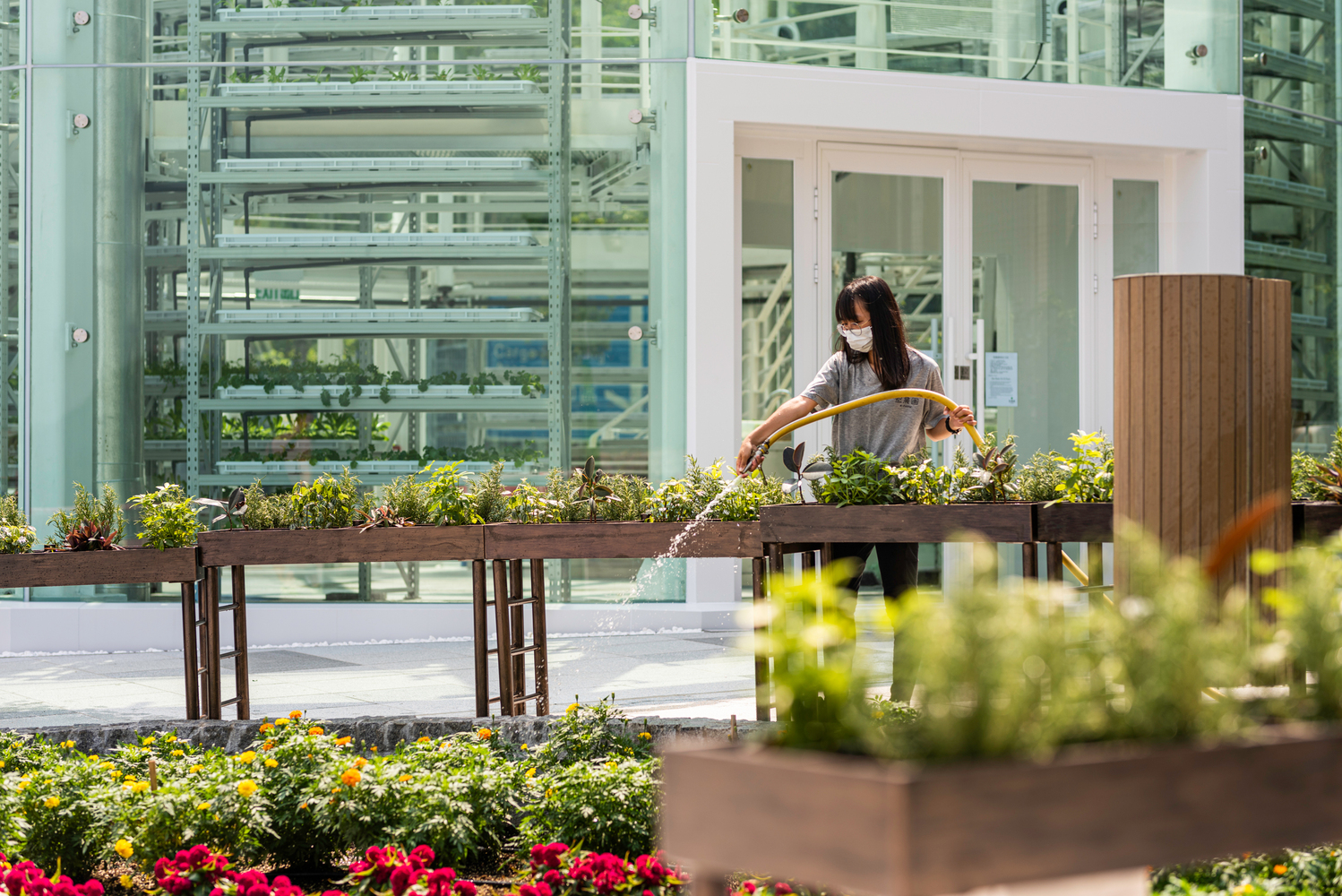 news: k-farm hydroponic garden introduce a smart and inclusive urban ...