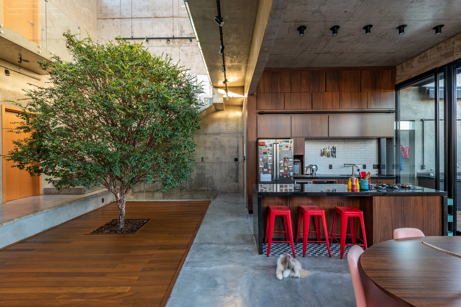 news: 7 contemporary home designs with indoor trees | the design story