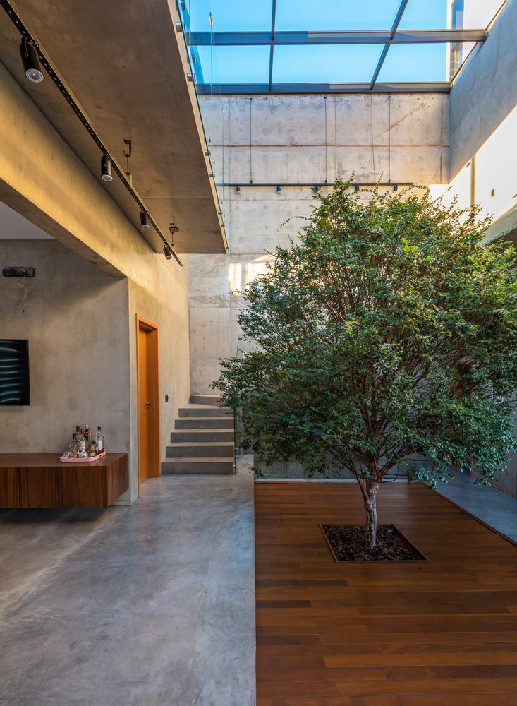 news: 7 contemporary home designs with indoor trees | the design story