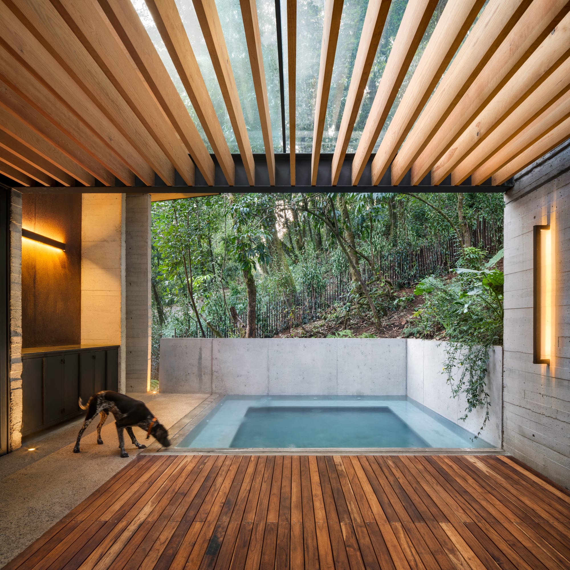 news: casa el pinar is a tropical sanctuary with minimum footprint ...