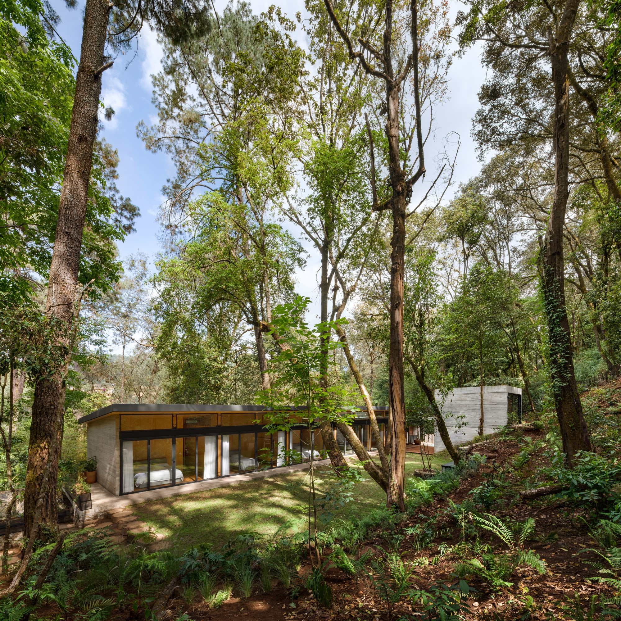 news: casa el pinar is a tropical sanctuary with minimum footprint ...