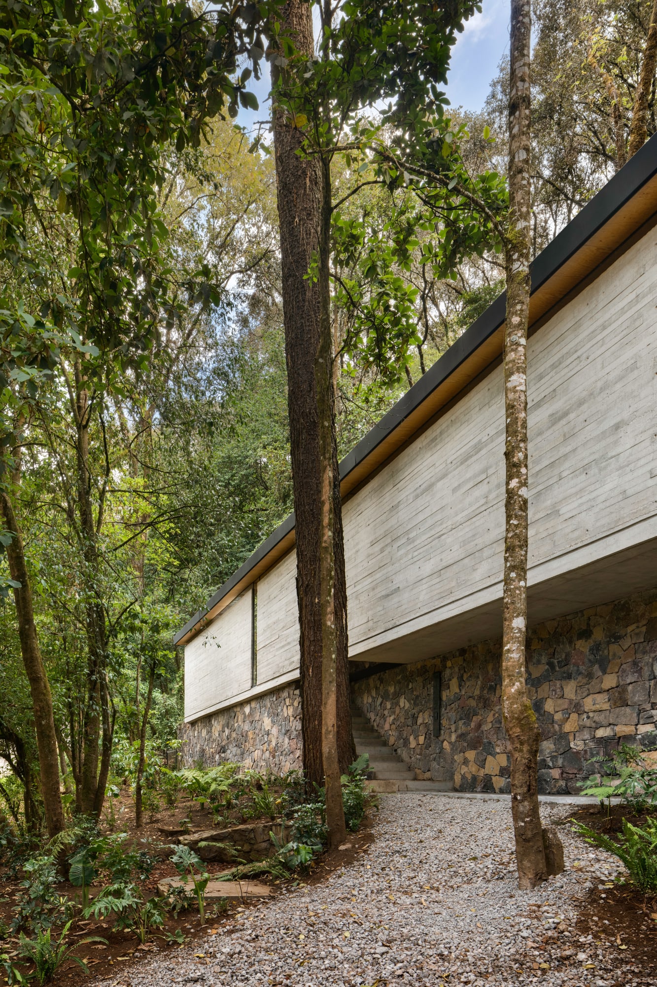news: casa el pinar is a tropical sanctuary with minimum footprint ...