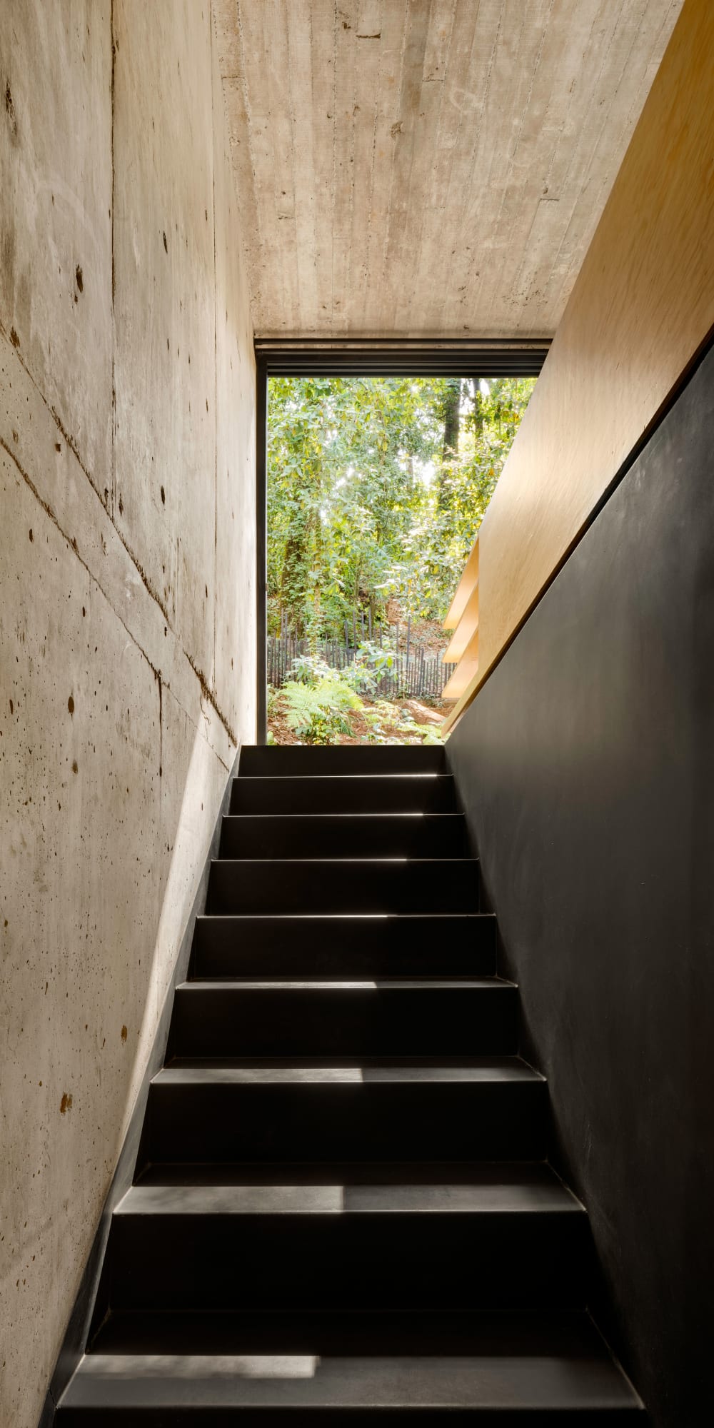 news: casa el pinar is a tropical sanctuary with minimum footprint ...