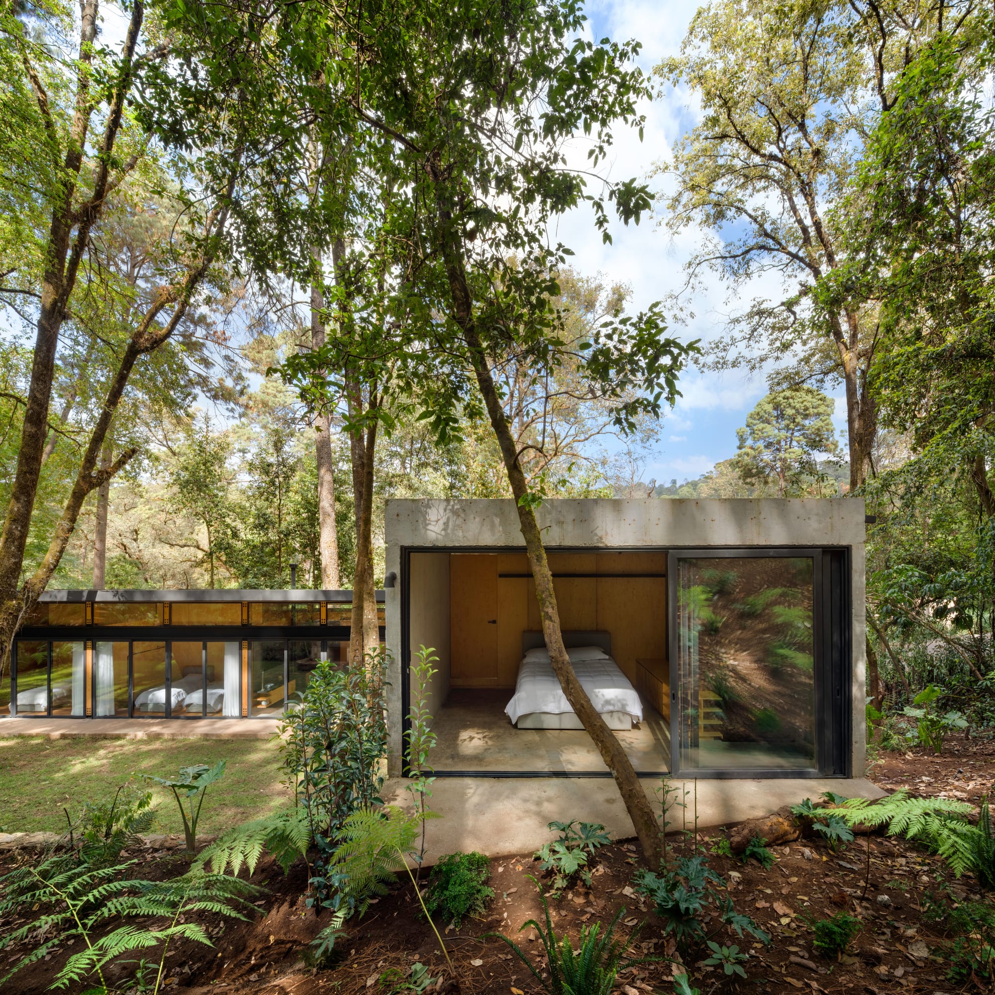 news: casa el pinar is a tropical sanctuary with minimum footprint ...