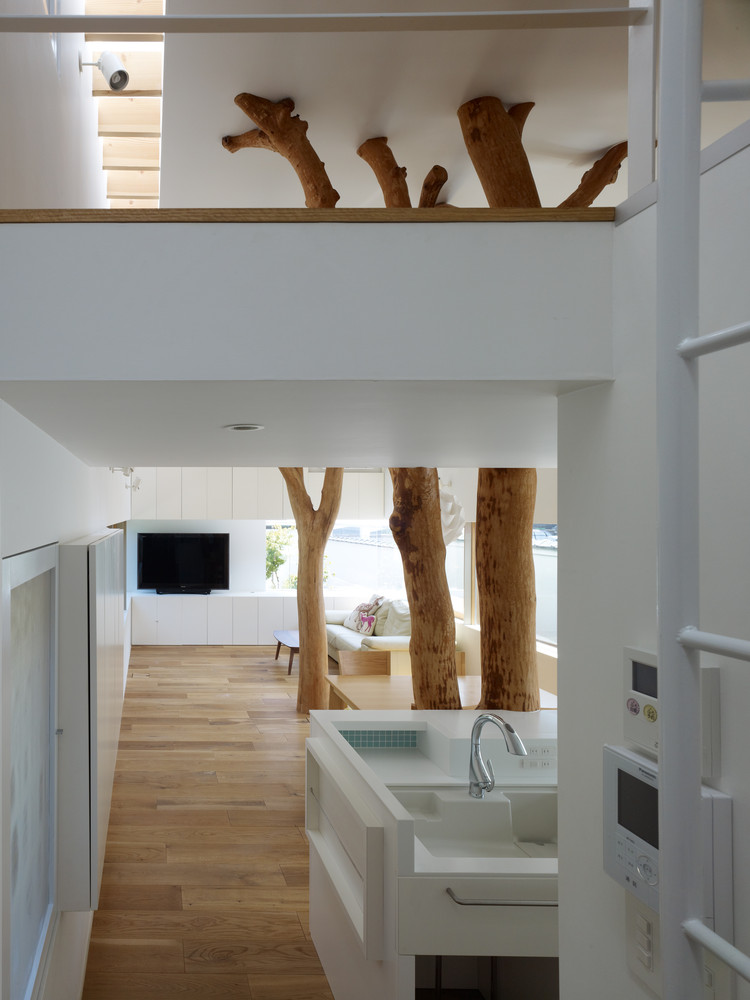 news: 7 contemporary home designs with indoor trees | the design story