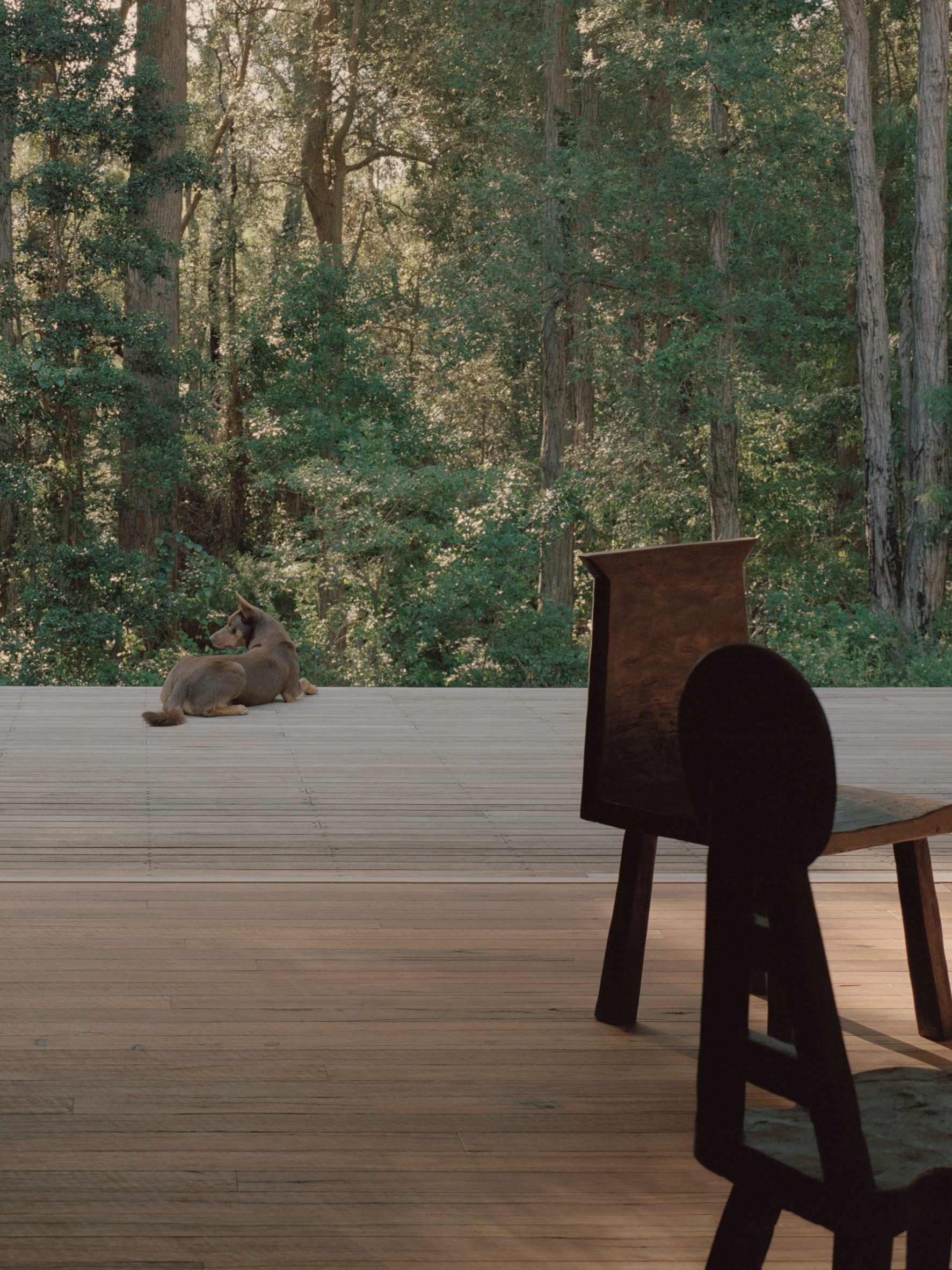 a quiet and contemplative australian home designed for stillness ...