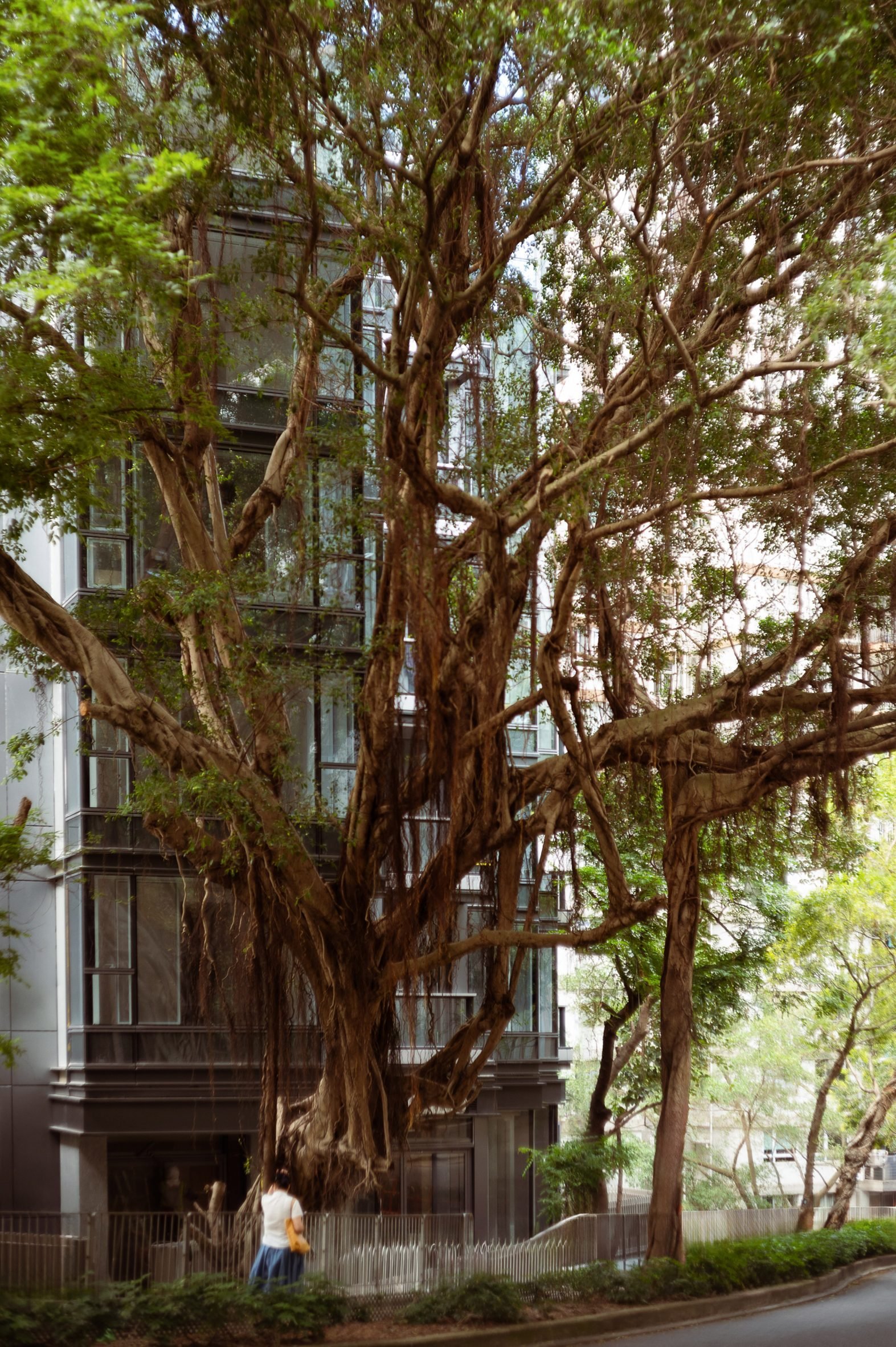 inside studio ella’s nature-inspired earthy interiors at 33 kennedy ...