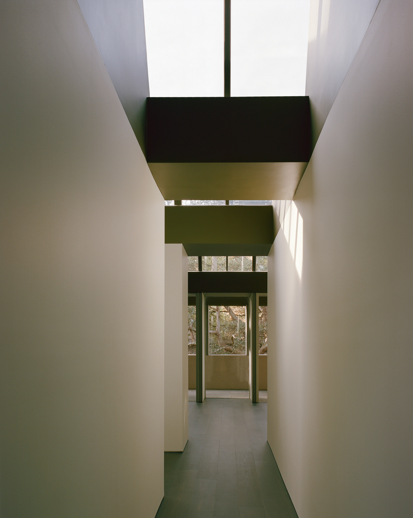 lane cove house uses factory-inspired roofs to frame the sky: project ...
