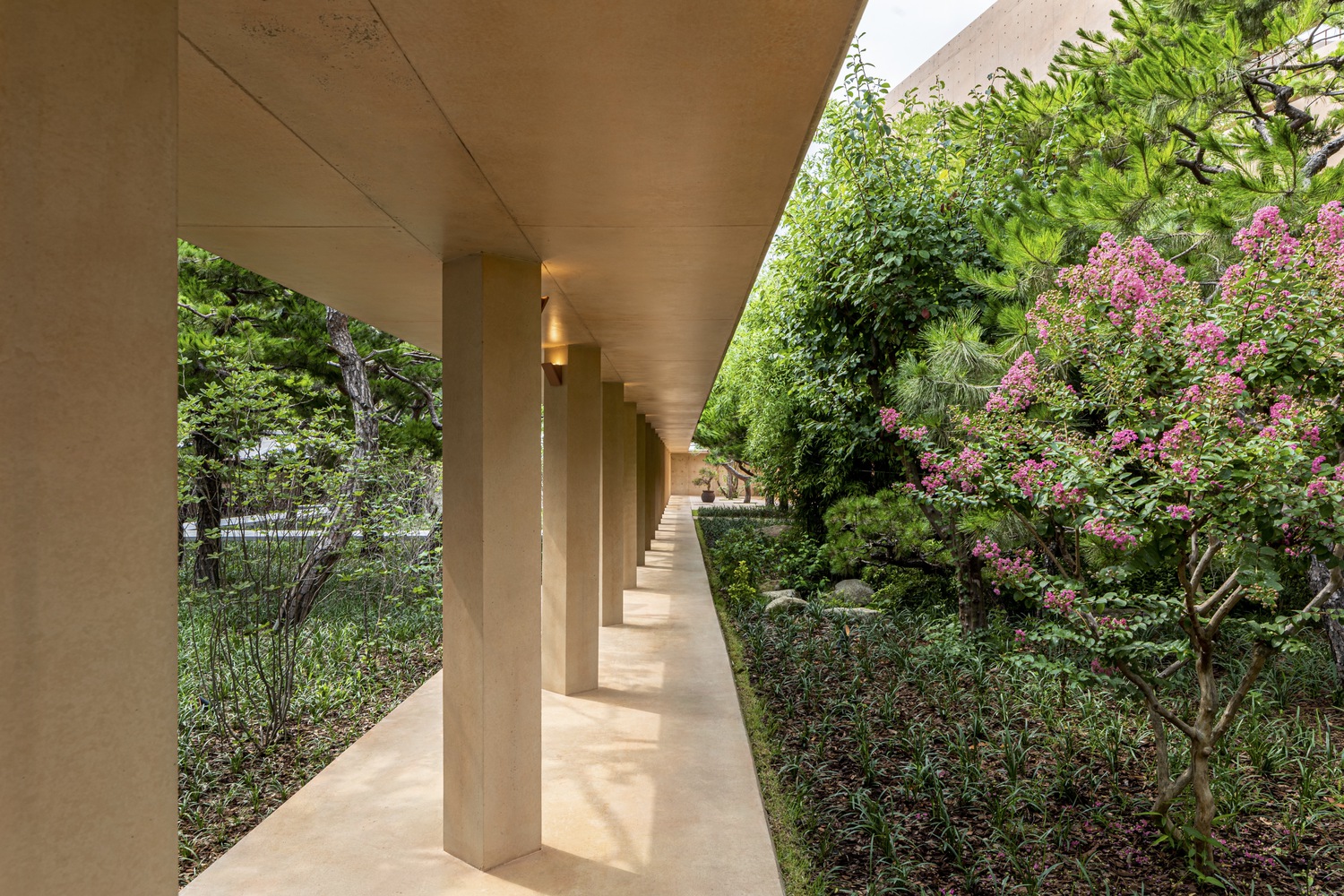 news: mrnw daegu cultural center generates harmonious reflections of ...