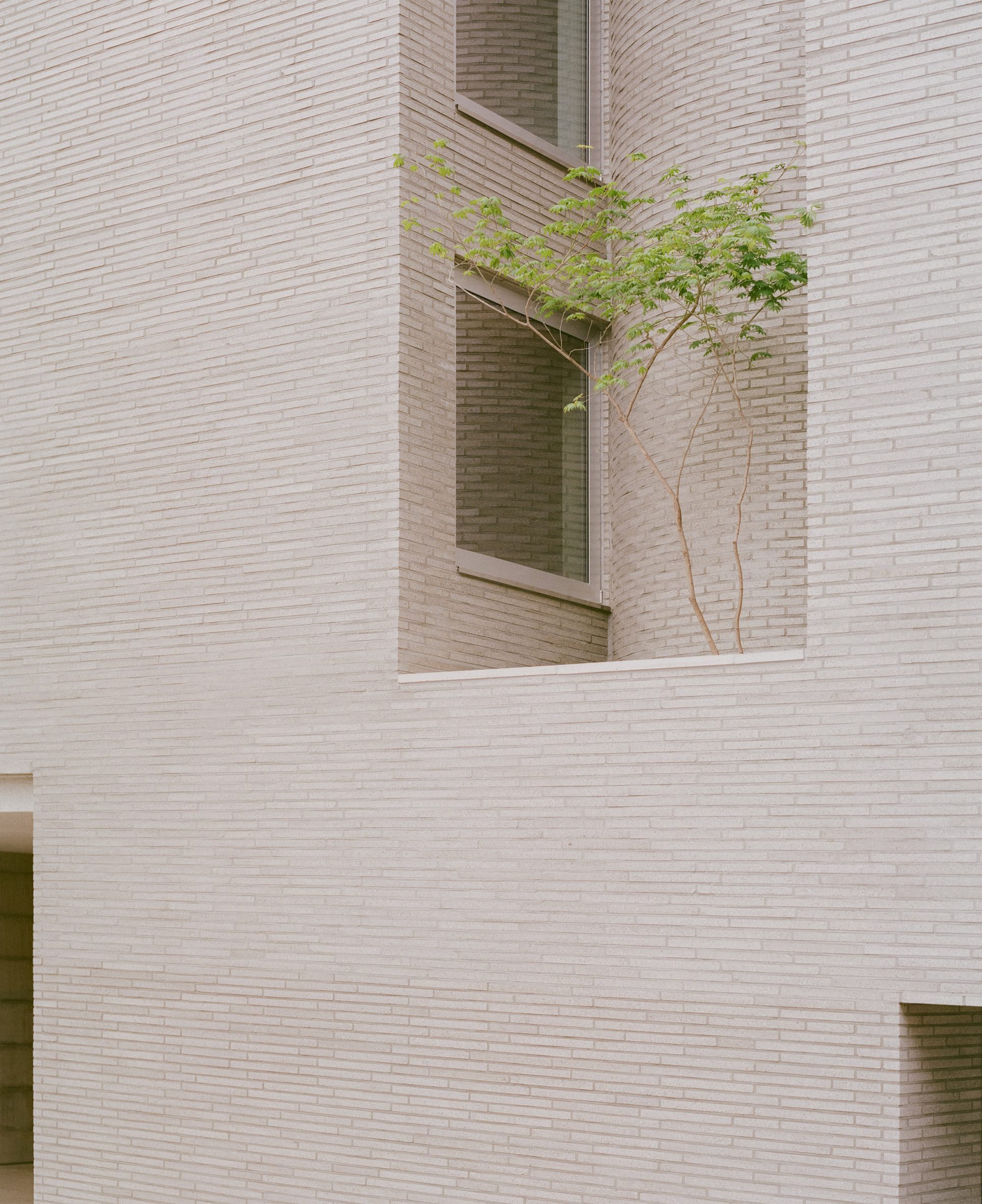 nurturing a timeless dialogue of light and silence: project by order ...