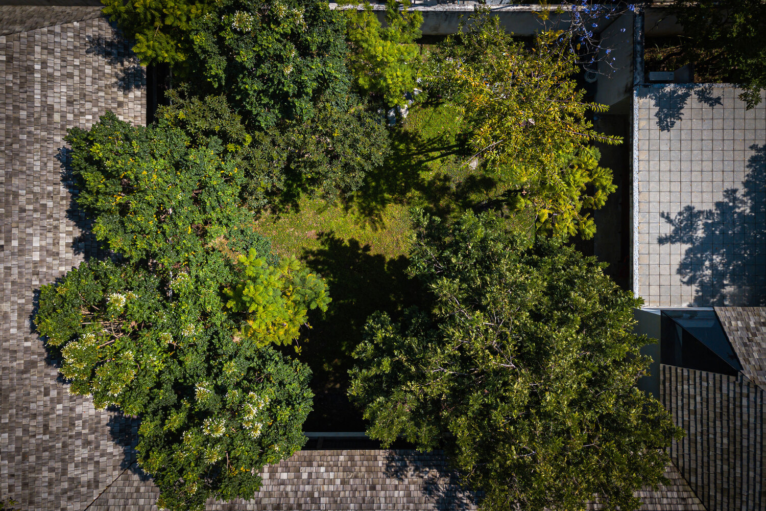 designing a camouflage of thai's suburban nature: project by studio ...