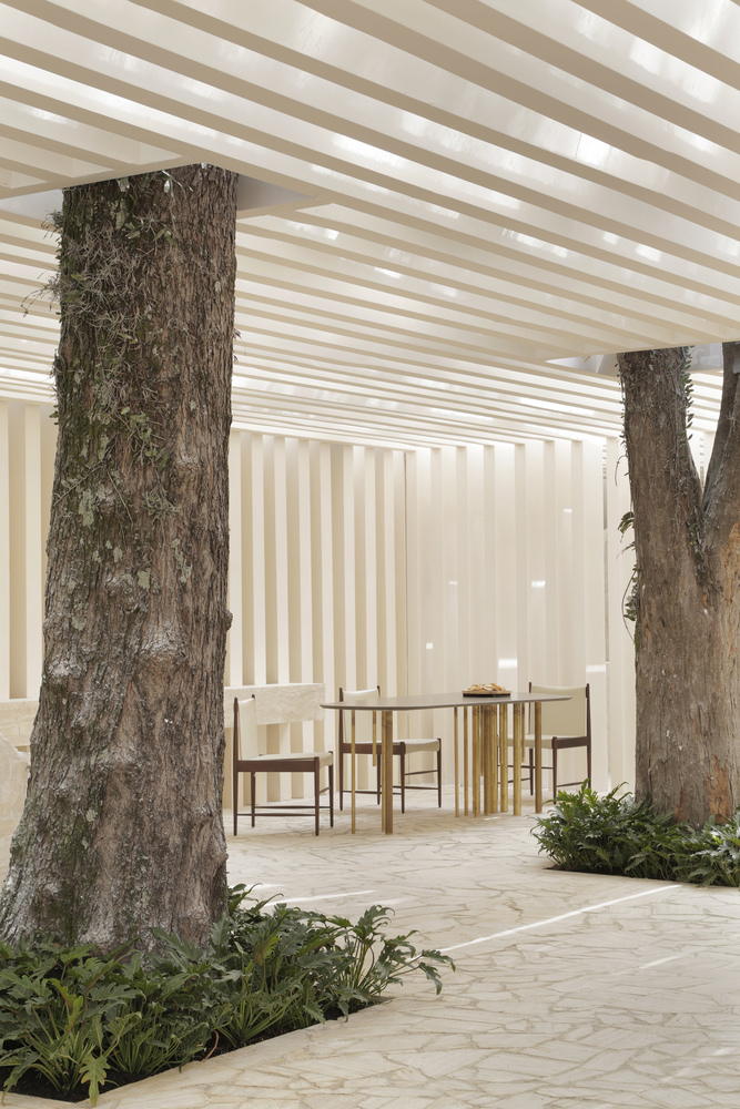 news: 7 contemporary home designs with indoor trees | the design story