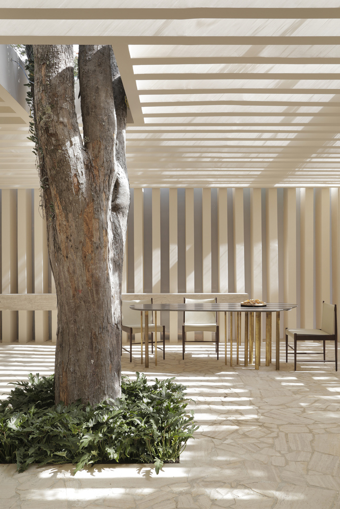 news: 7 contemporary home designs with indoor trees | the design story
