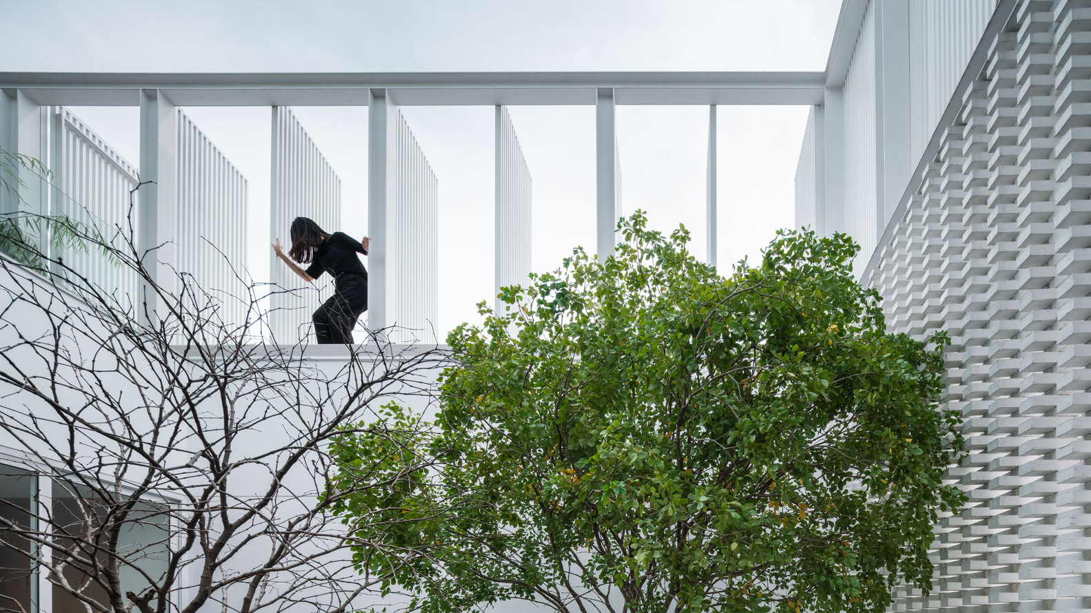 veil house sparks ethereality using translucent screens and courtyards ...