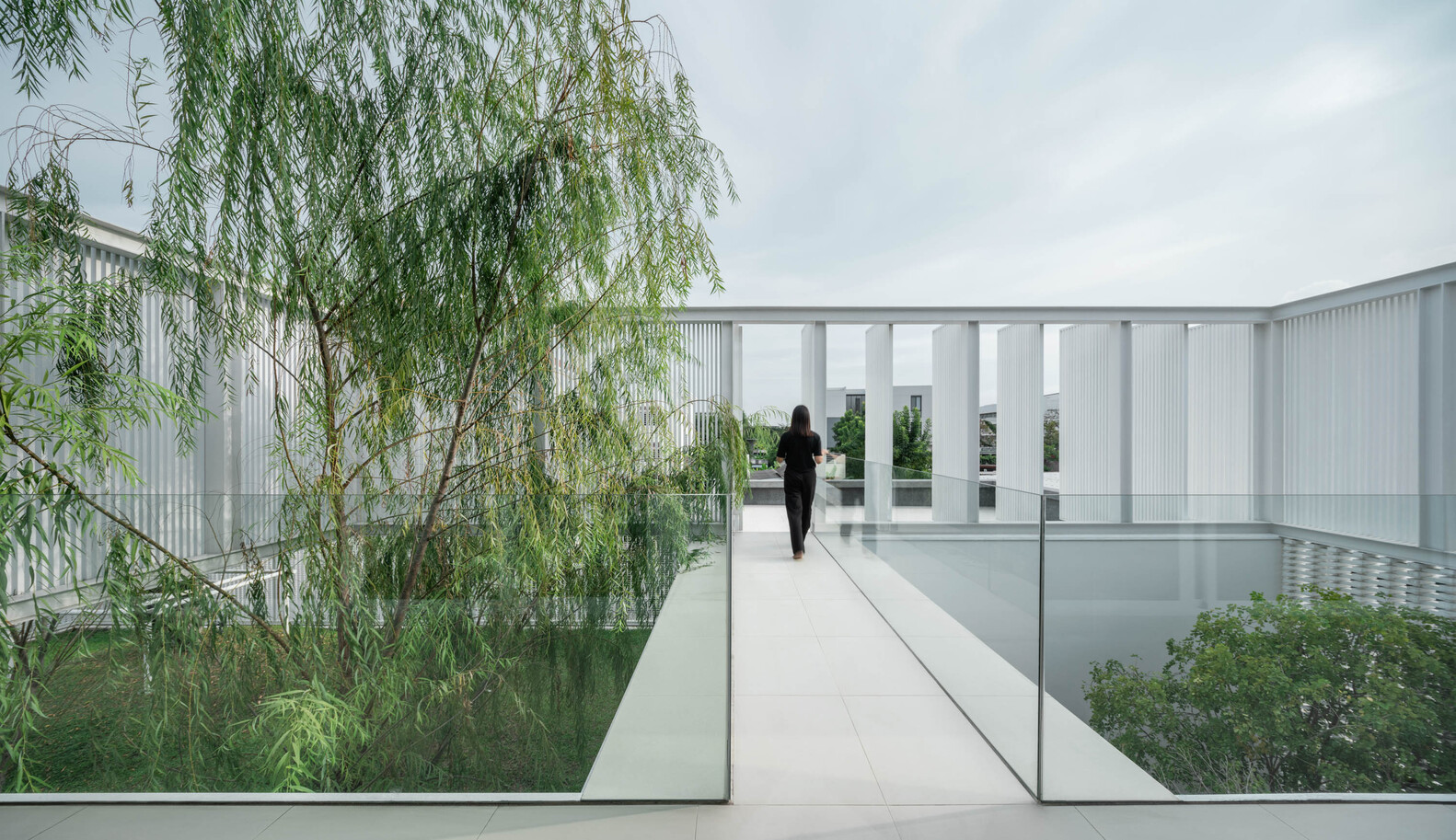 veil house sparks ethereality using translucent screens and courtyards ...
