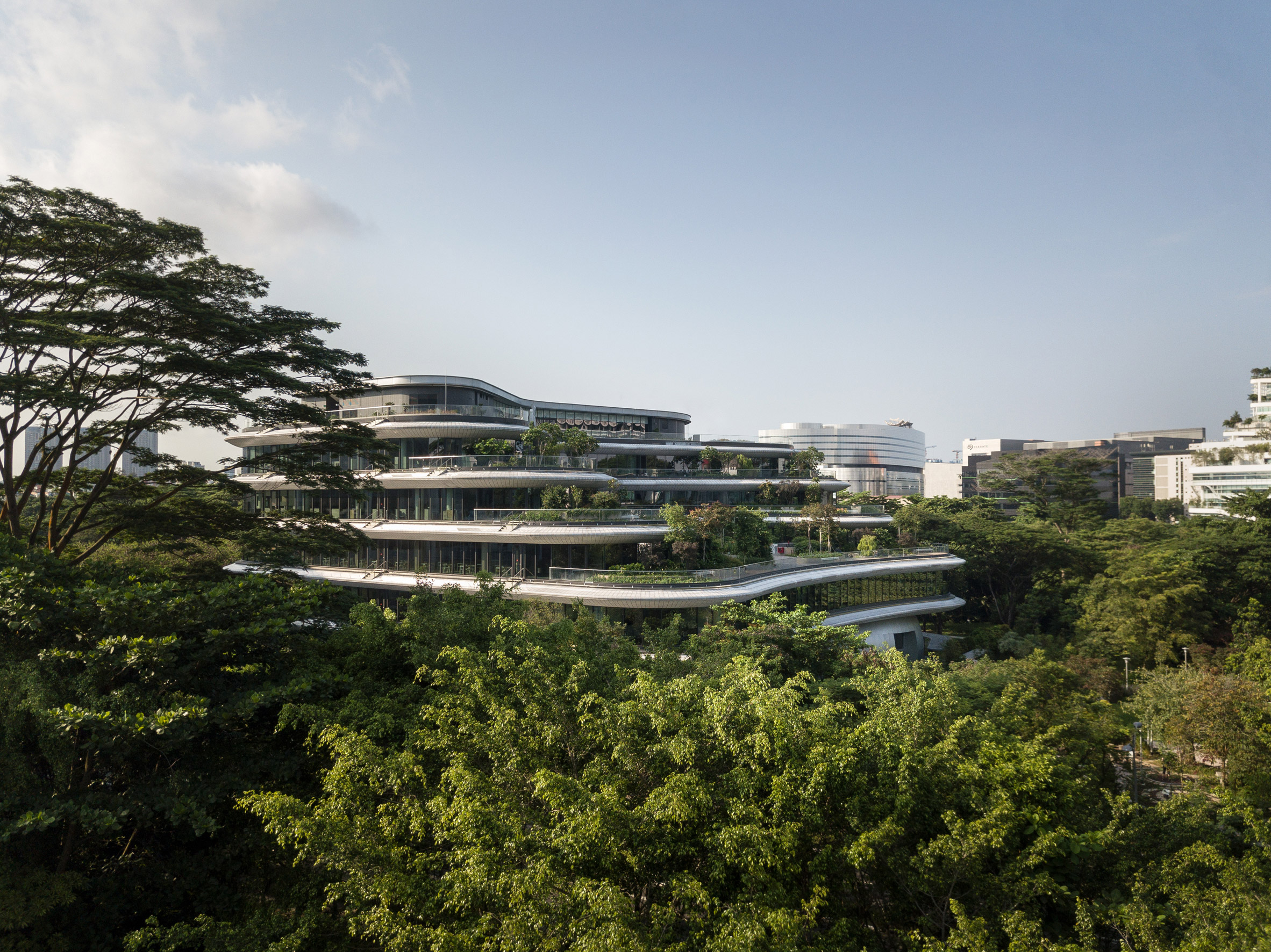 news: eric parry architects merges nature and architecture on willmar r ...
